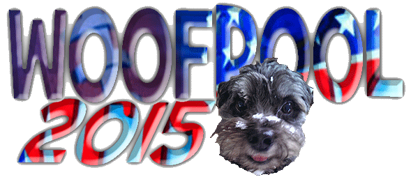 The 2015 NFL Football Pool the-2015-nfl-football-pool